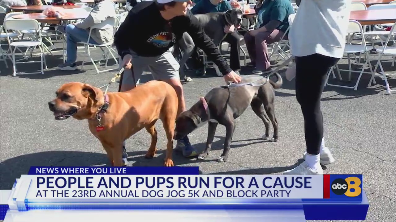 PHOTOS: Richmond SPCA’s 23rd annual dog jog and 5k run – WRIC ABC 8News