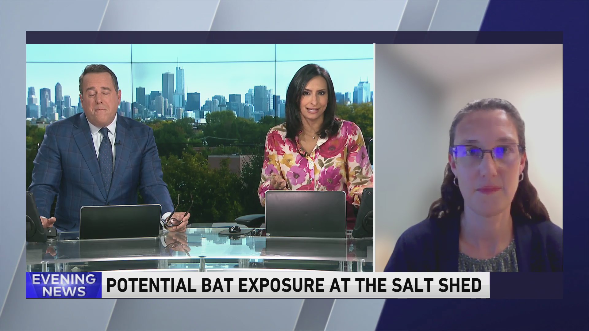 Chicago Dept of Public Health explains bat exposure at Salt Shed – WGN-TV