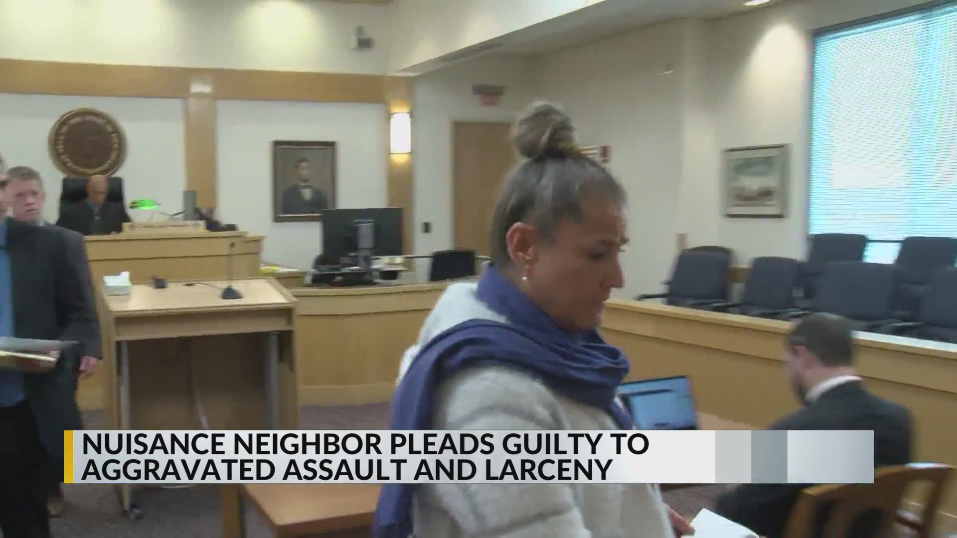 Albuquerque nuisance neighbor pleads guilty to aggravated assault and ...