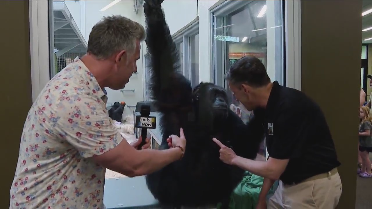 AAA Hoosier Motor Club: Indianapolis Zoo Partnership – 7/23/25 – Fox 59