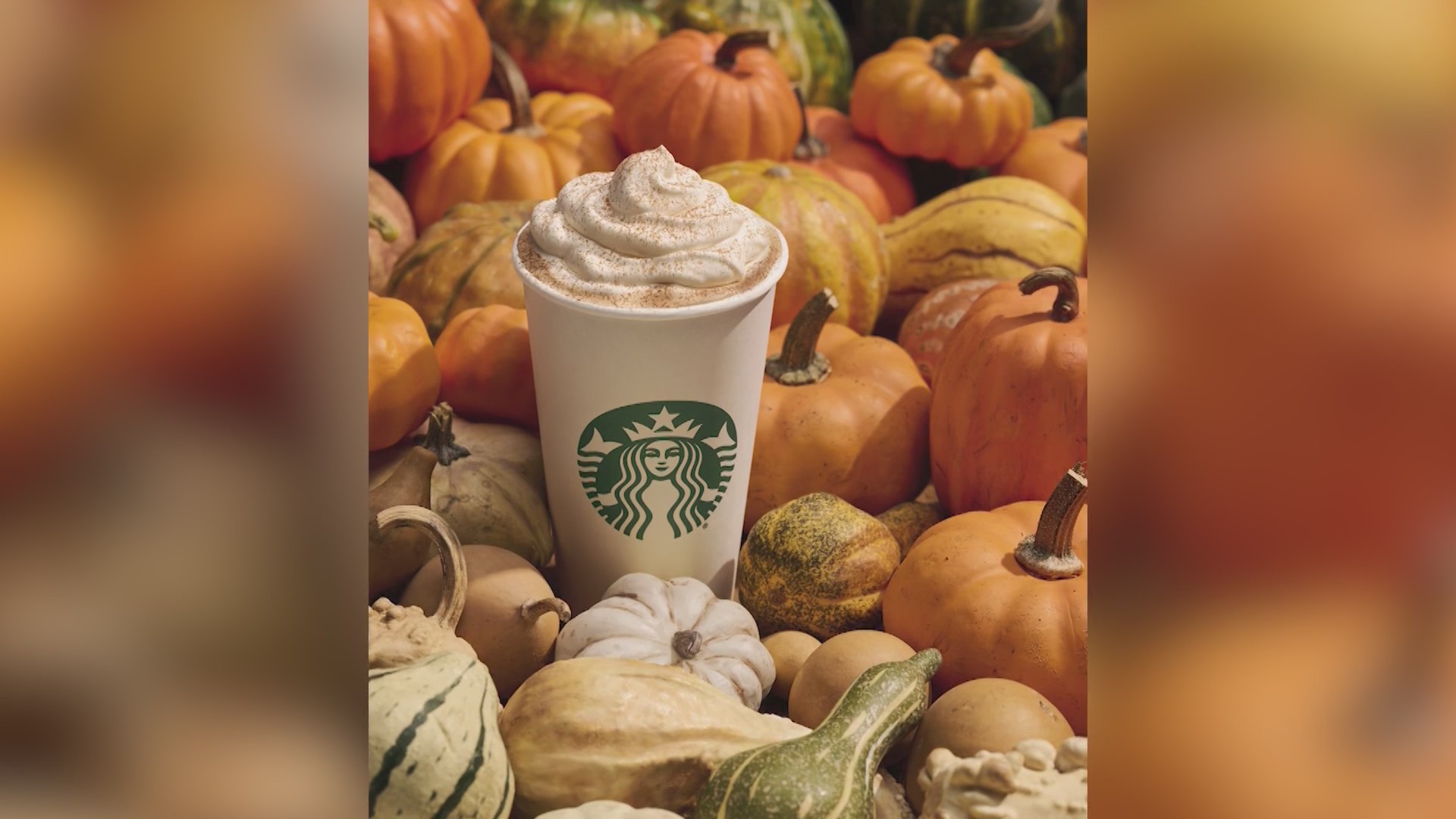 The countdown begins to Starbucks Pumpkin Spice Latte – WGN-TV