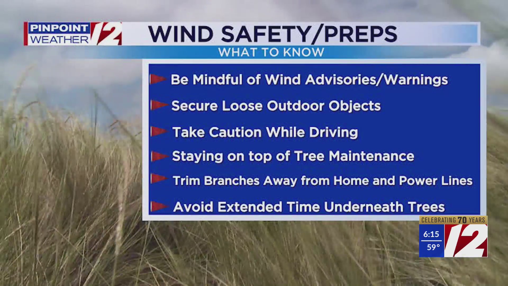 Doing some tree trimming this spring? Keep these wind safety tips in ...