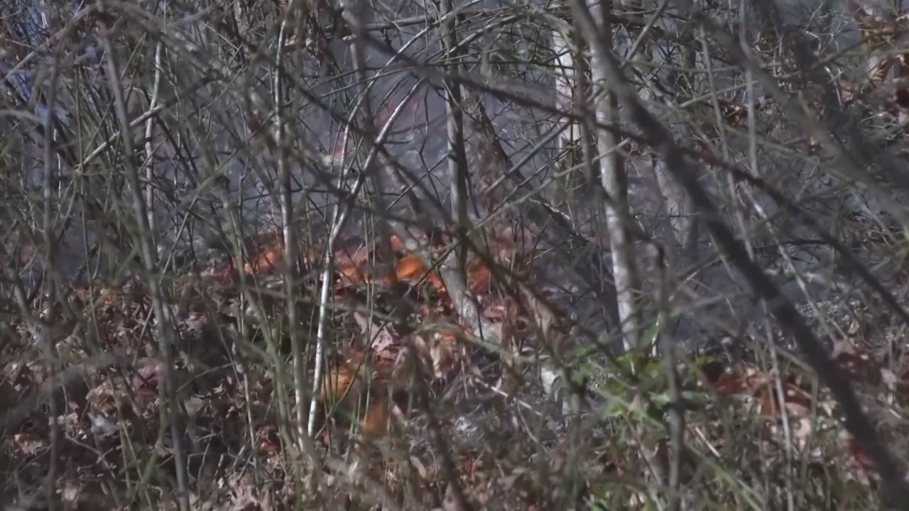 Spring Fire Season 2025 comes to a close this Saturday – how it’s ...