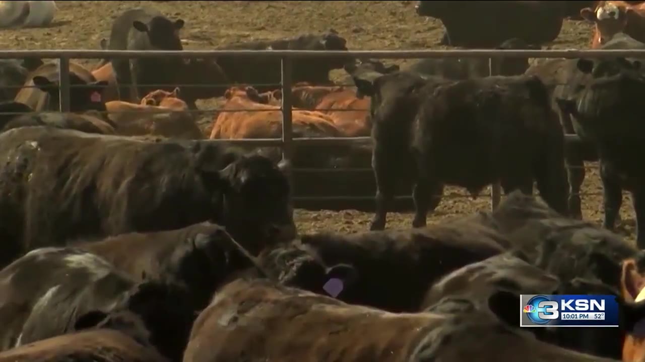 New Farm Bill still not passed; farmers in limbo – KSN-TV