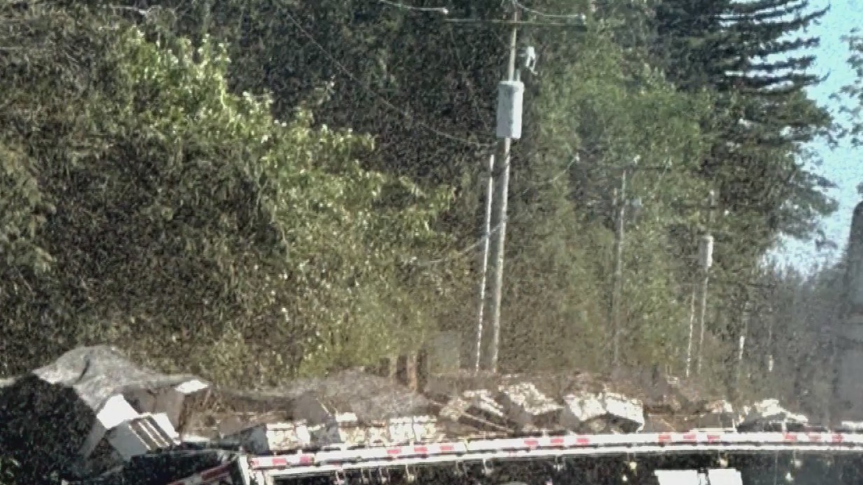 What’s Trending: Bees released after truck crash – KOIN.com