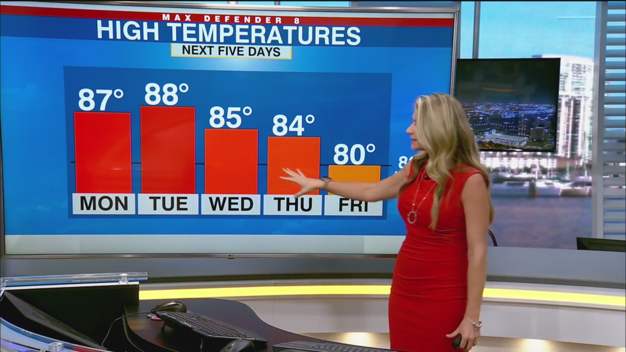 News Channel 8 Today at 4:30 – WFLA