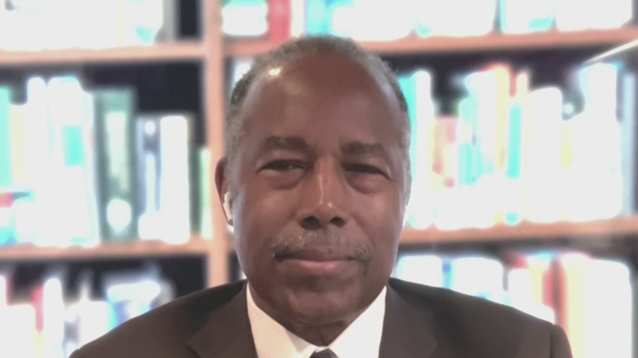 Ben Carson suspects Nikki Haley will campaign for Trump | The Hill ...