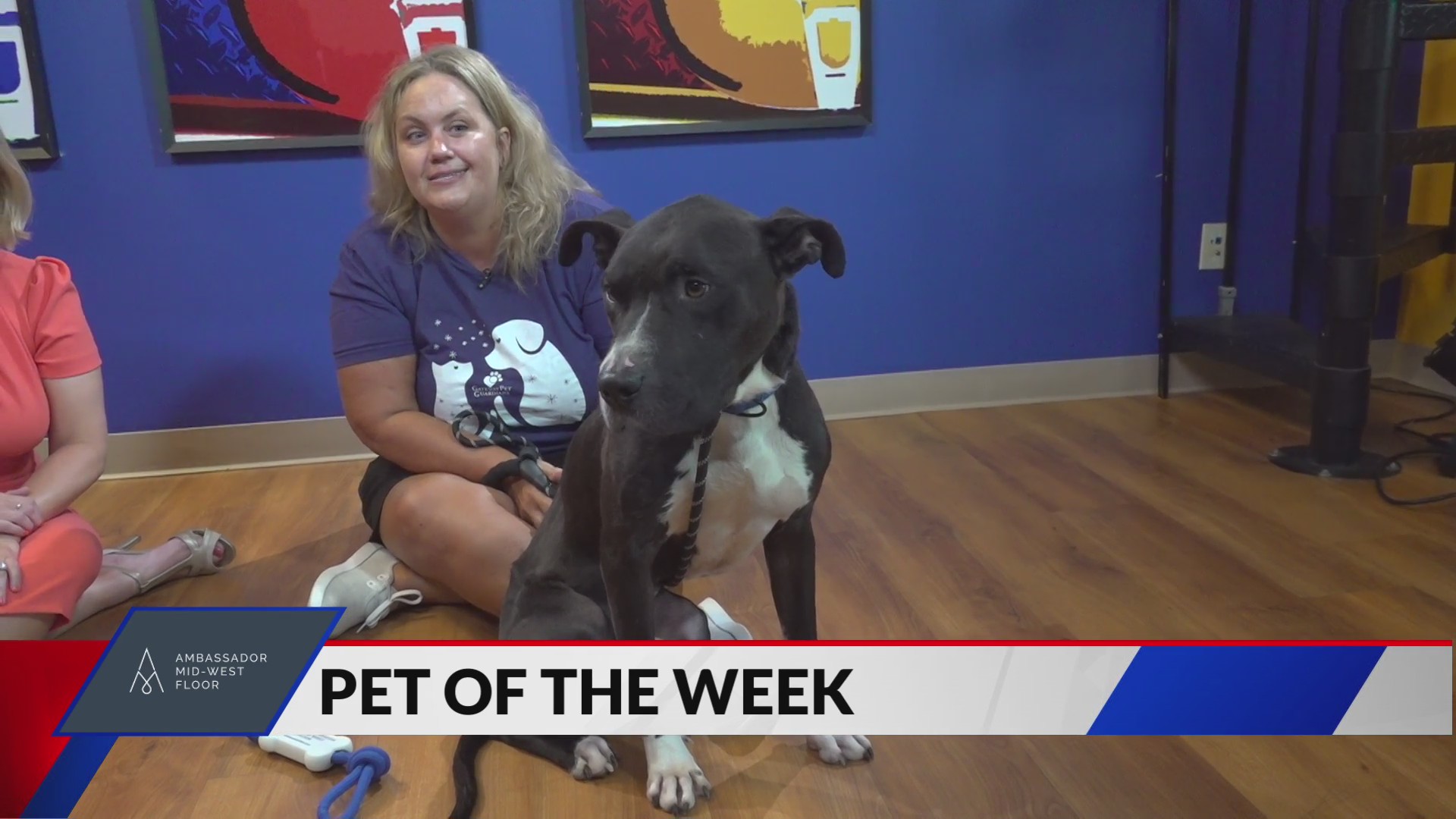 Pet of the Week: Q-Tip – FOX 2