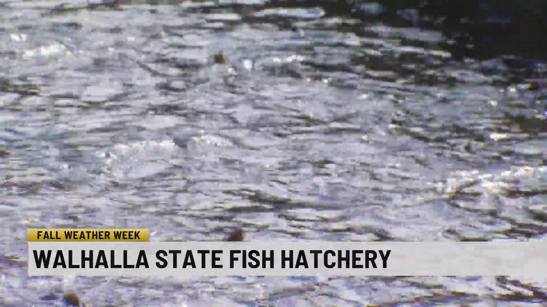 Fall Weather Week: Walhalla State Fish Hatchery – WSPA 7NEWS
