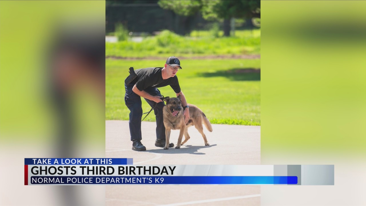 Normal K9 celebrates birthday – CIProud.com