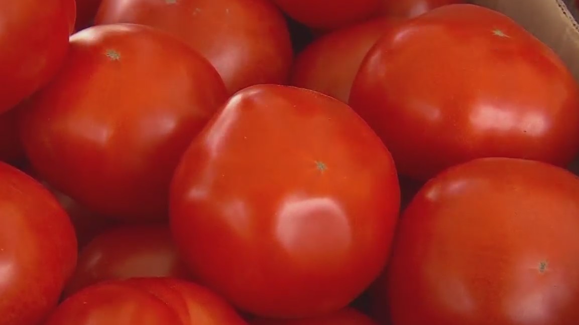 Pop culture with Emily Burris – KOIN.com