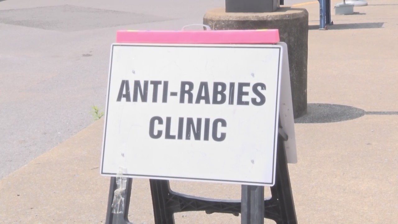 Discounted Rabies Shot and Fall Fest – WVNS
