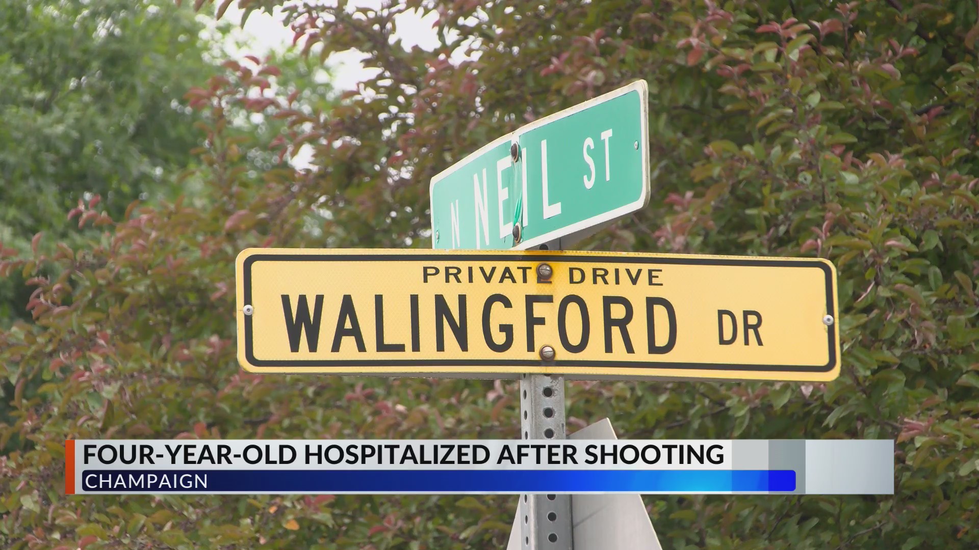 Four-year-old hospitalized after gunfire in Champaign home – WCIA.com