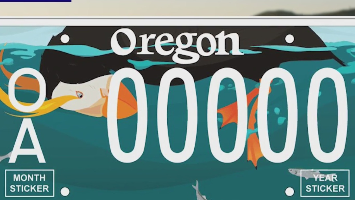 New puffin license plate for sale from Oregon Coast Aquarium – KOIN.com