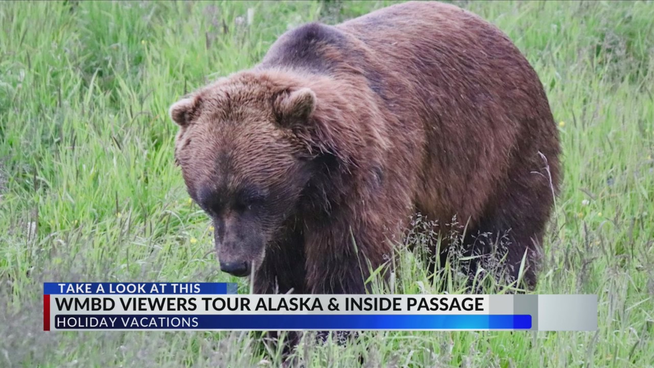 WMBD Holiday Vacations tour highlights stunning Alaska views – CIProud.com