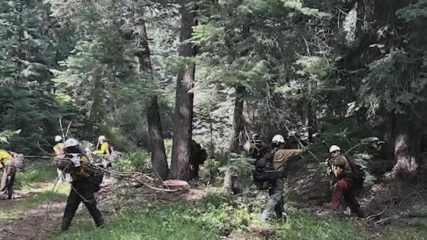 Oak Ridge fire reaches 69% containment – FOX31 Denver