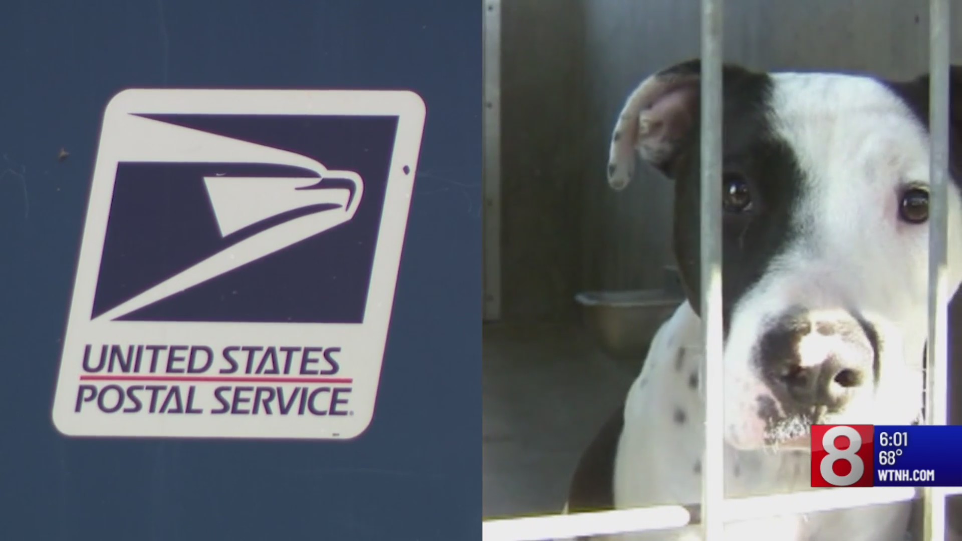Middletown mailman bit by pit bull days after USPS launched dog bite ...