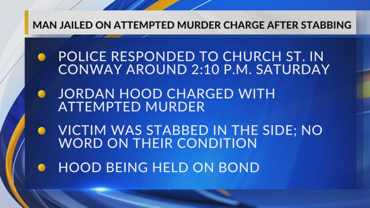 Man jailed on attempted murder charge in Conway-area stabbing – WBTW