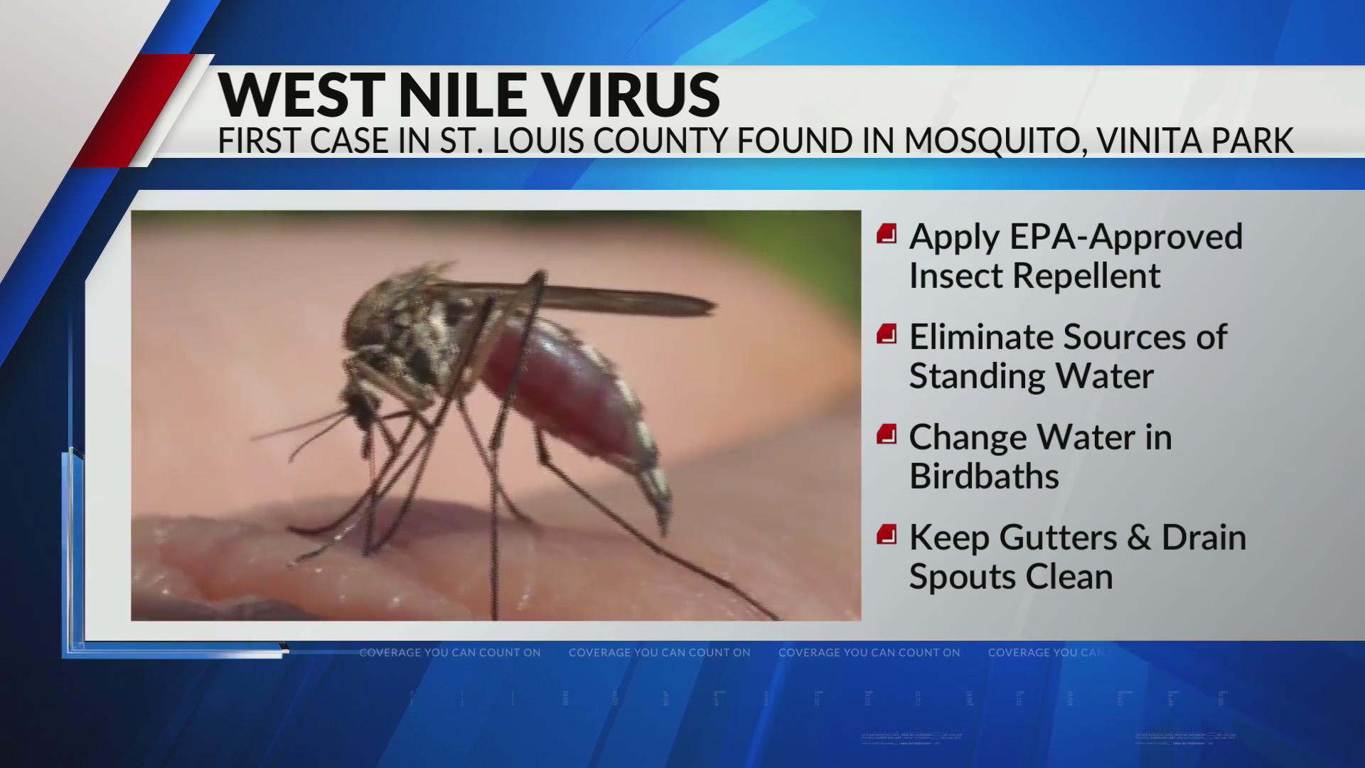 Officials warn of the West Nile virus in St. Louis County mosquitoes ...