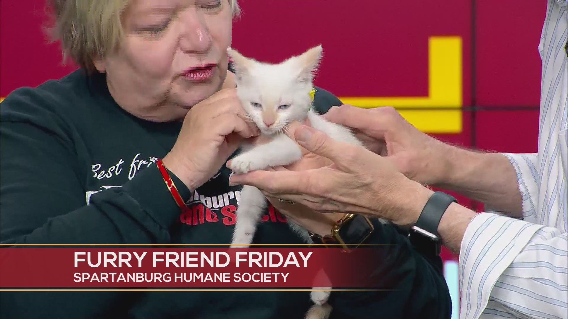 Furry Friend Friday – WSPA 7NEWS