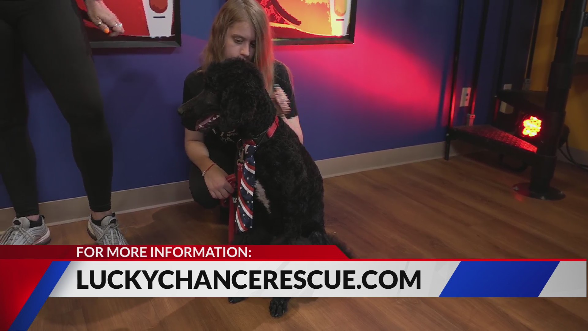 Adopt Versace and Phoebe today – FOX 2