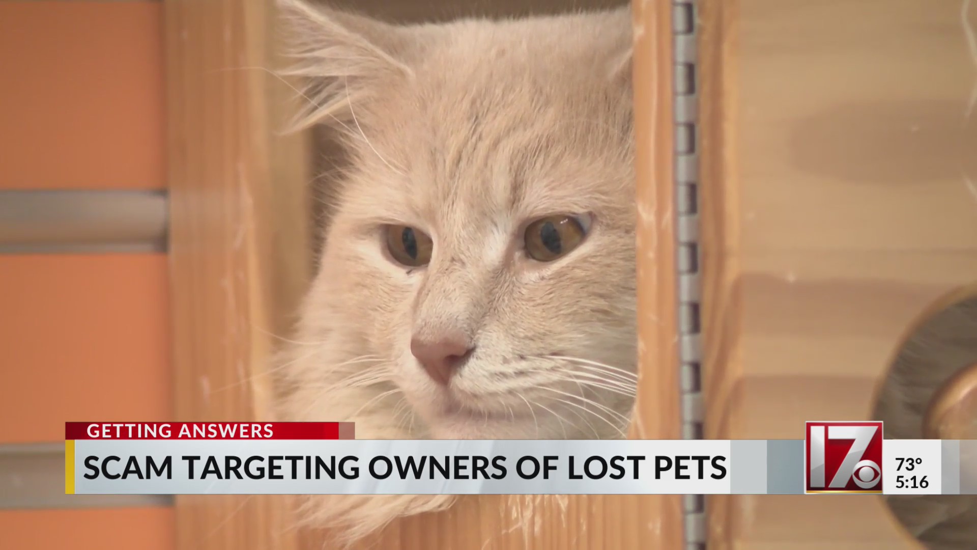 Scam targeting owners of lost pets – CBS17.com