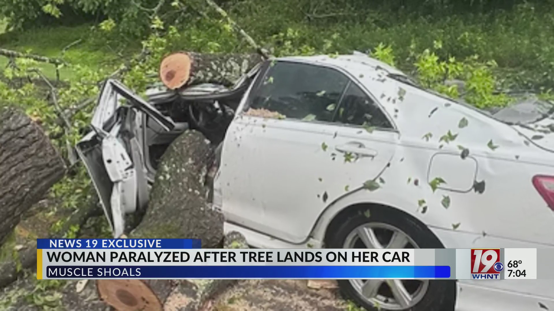 Woman Paralyzed After Tree Lands On Her Car In Muscle Shoals | May 29 ...