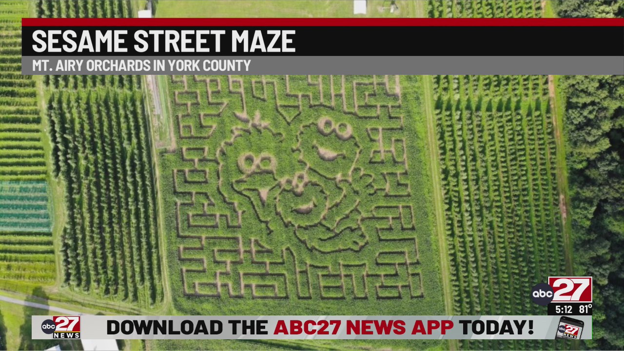 Local orchard unveils massive Sesame Street corn maze – ABC27