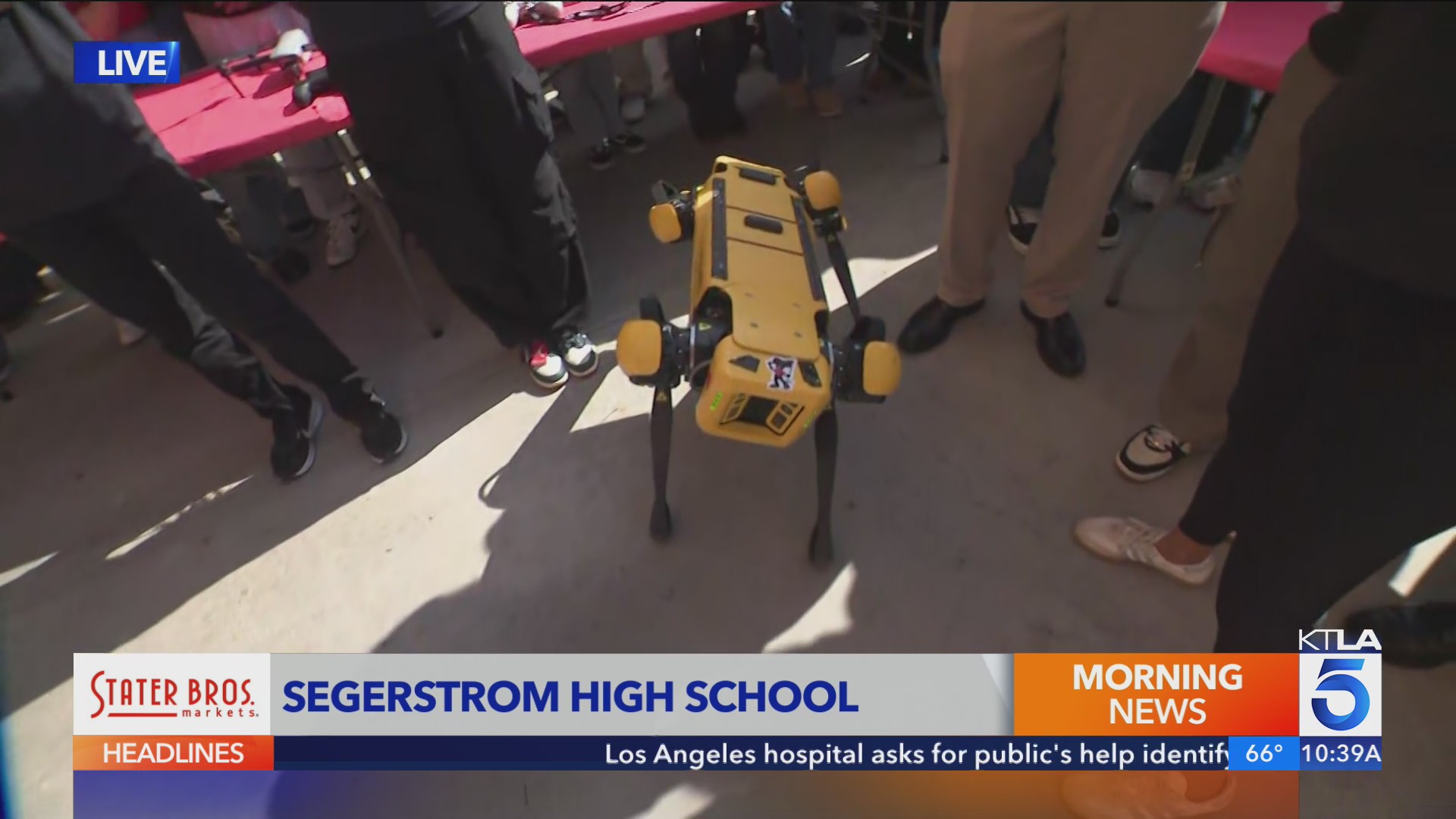 School Spirit Spotlight: Segerstrom High School (10am) – KTLA