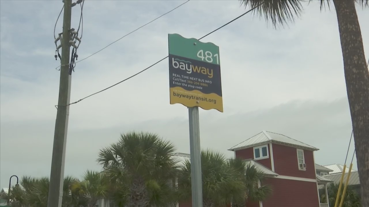BayWay celebrated Transit Equality Day with free bus services ...