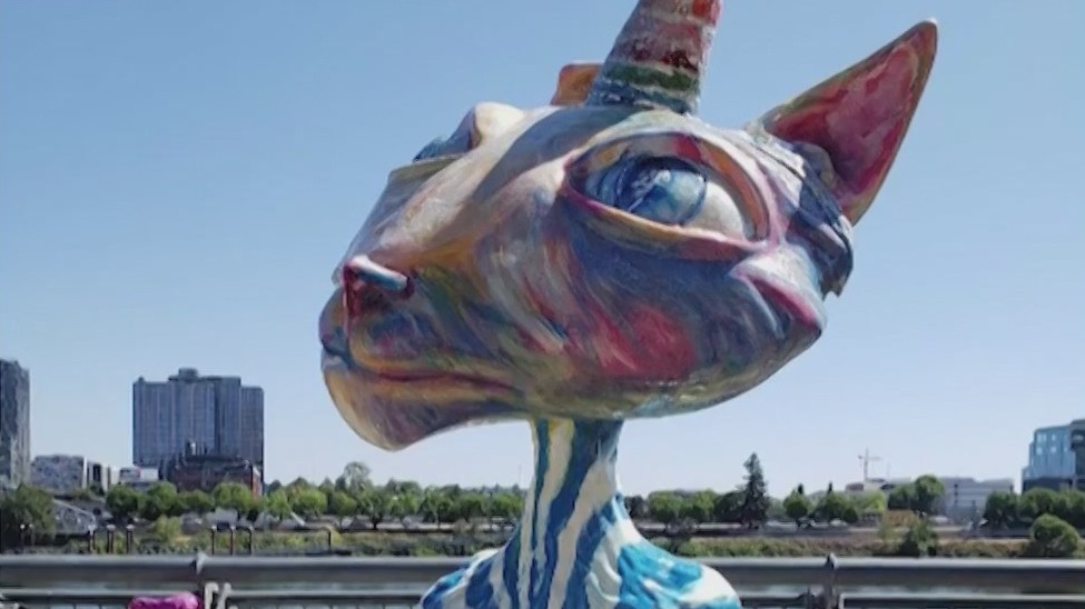‘Coraline’ cat statue found after being taken from Portland waterfront ...