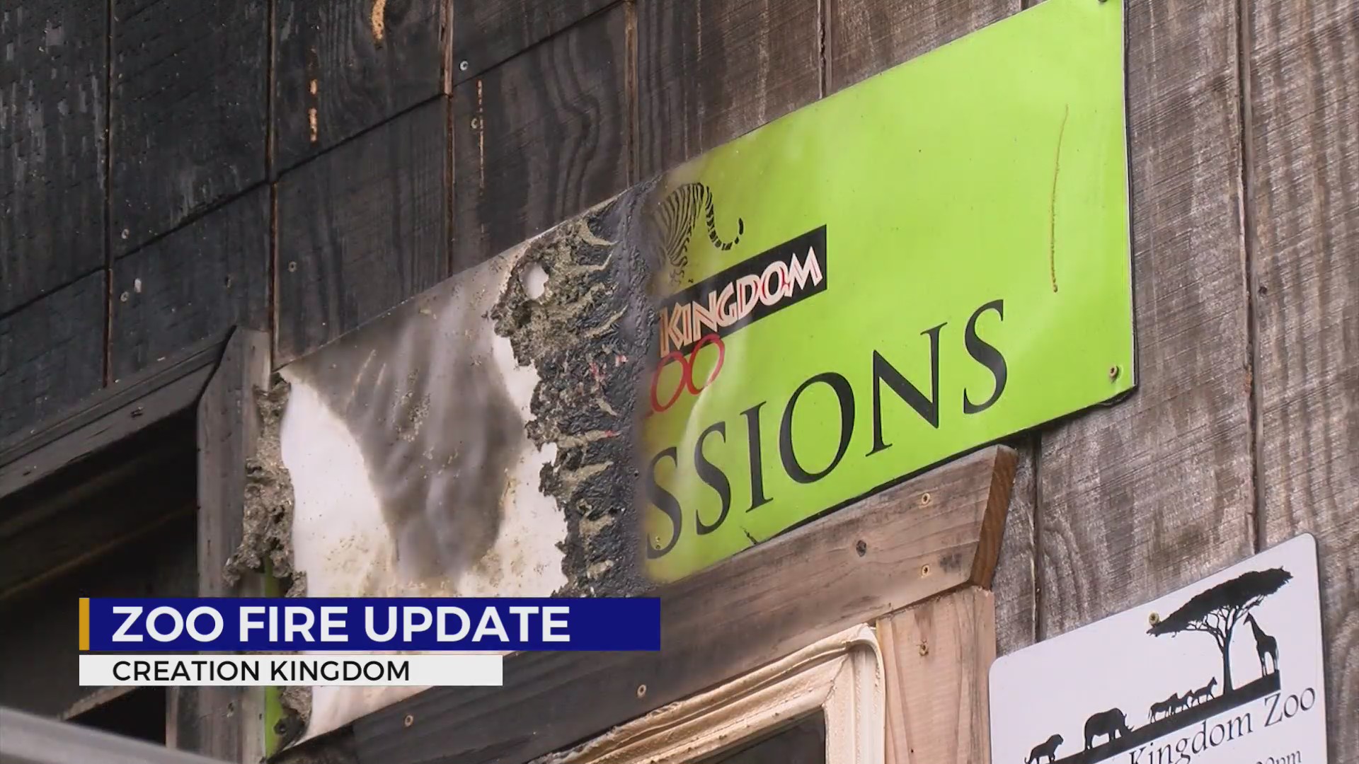Director of Creation Kingdom Zoo confirms several animals dead after ...