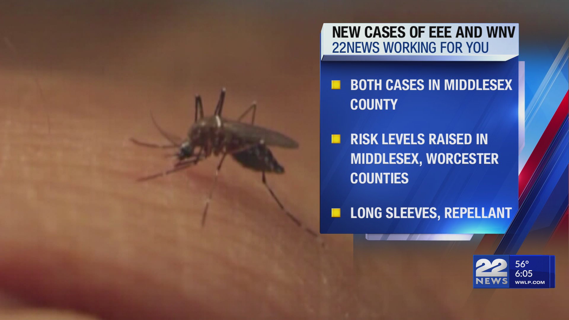 New cases of EEE and WNV in Massachusetts – WWLP