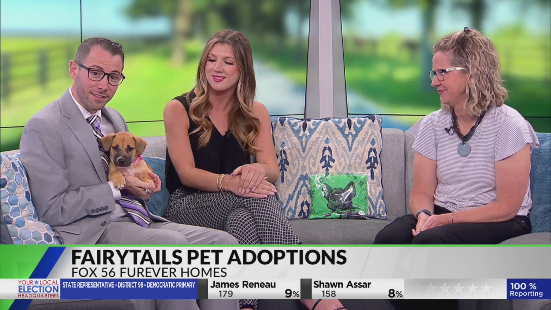 FairyTails Pet Adoptions – Nutmeg – FOX 56 News