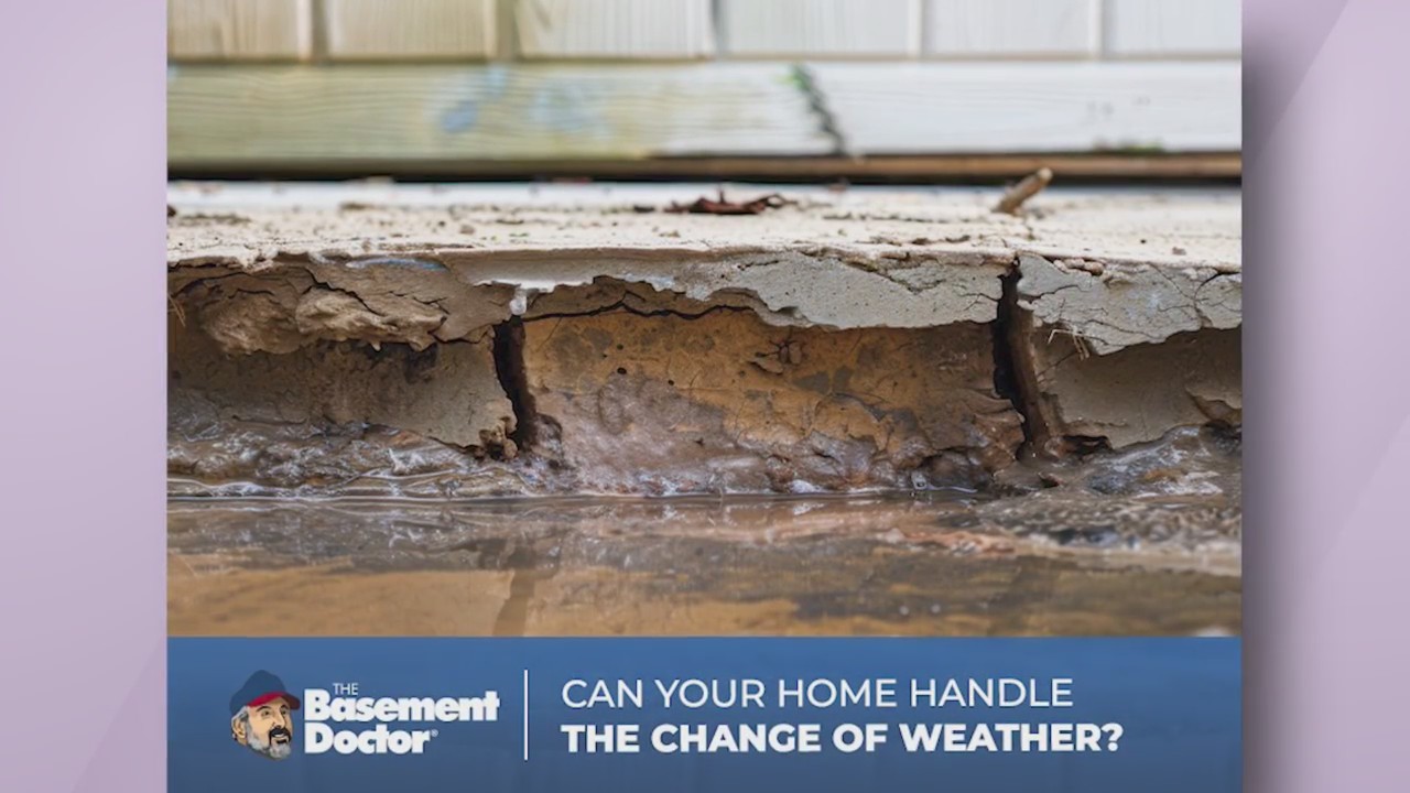 Prevent Costly Water Damage with Expert Tips from The Basement Doctor ...