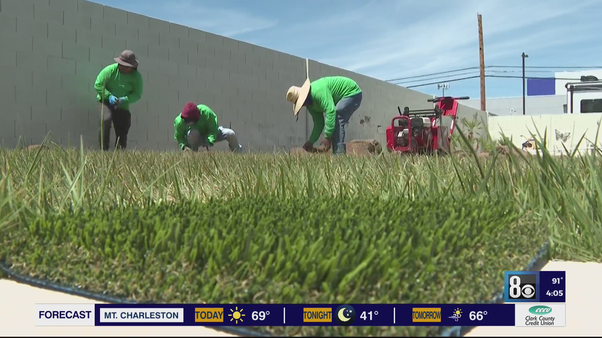 SNWA offers Las Vegas residents incentive to get rid of grass – KLAS