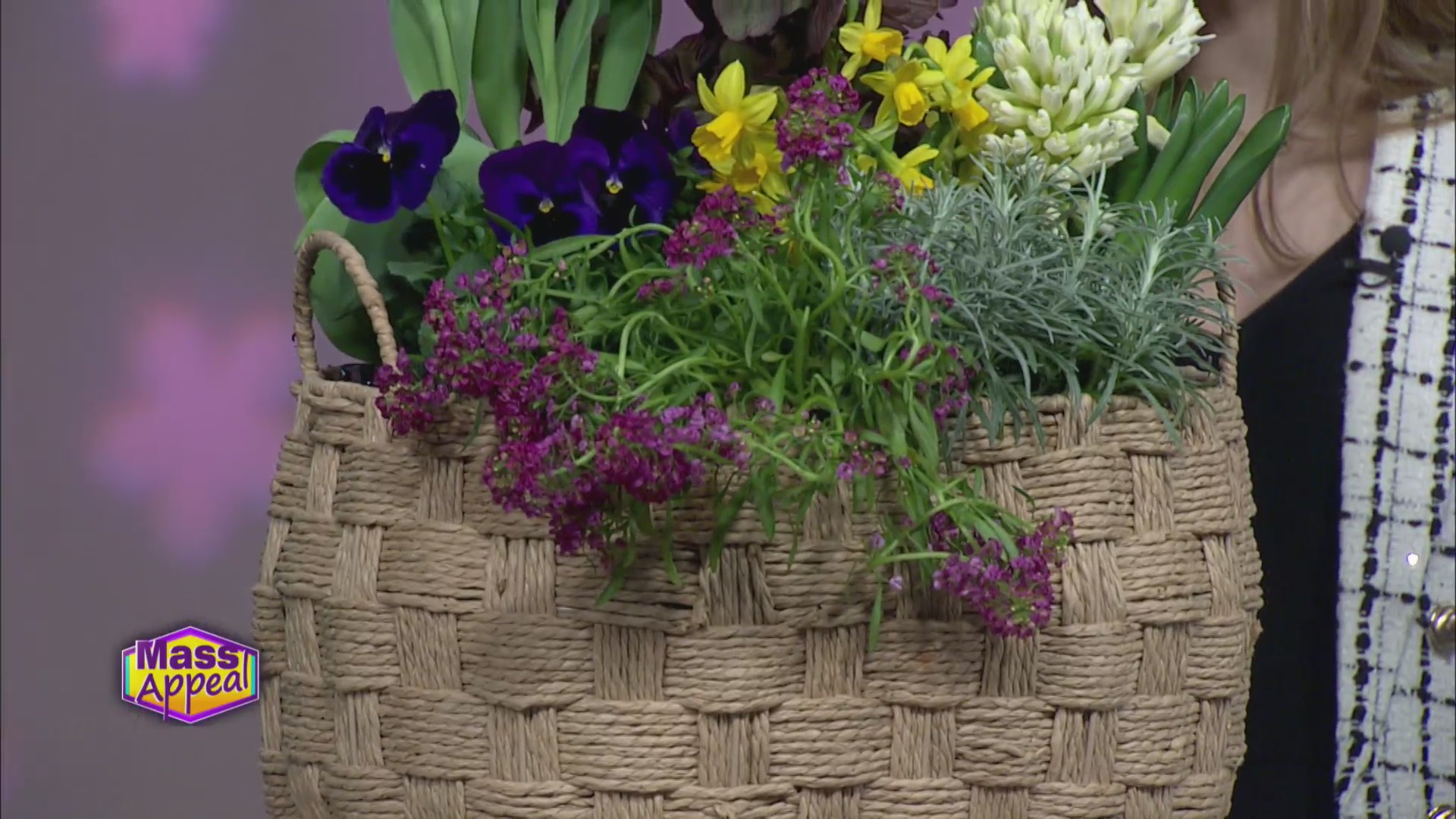 Mass Appeal How to plant a spring container garden – WWLP