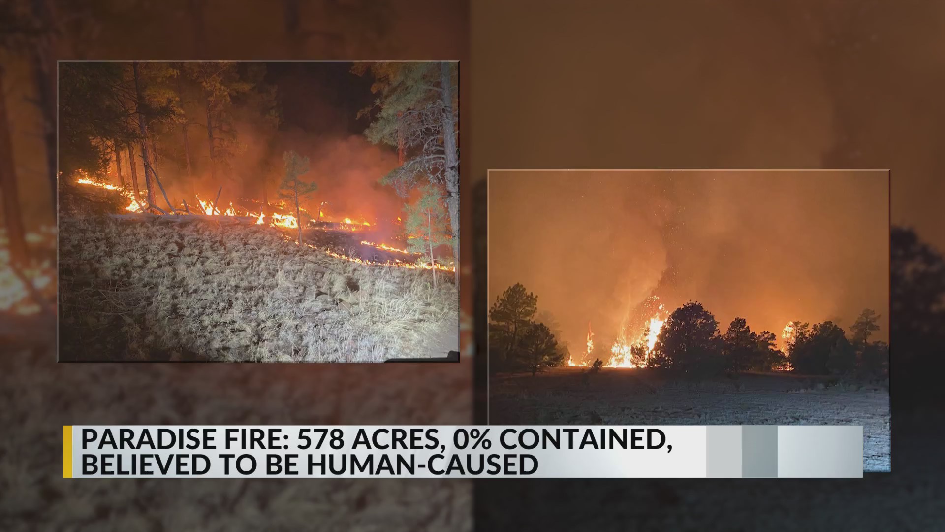 Paradise Fire burns 578 acres on the Gila National Forest, may be human ...