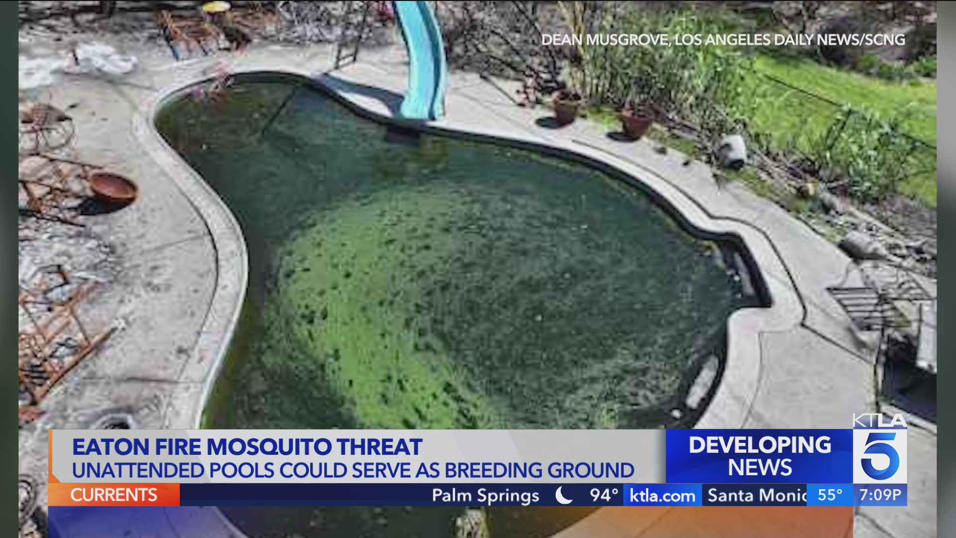 Unmaintained pools in Eaton Fire burn area could become breeding ground ...