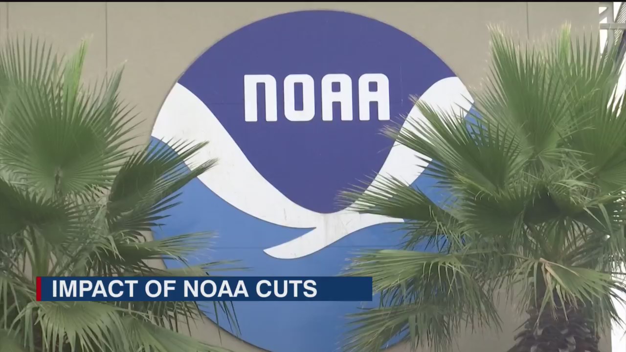 NOAA cuts impact meteorologists in Florida who track hurricanes – WFLA
