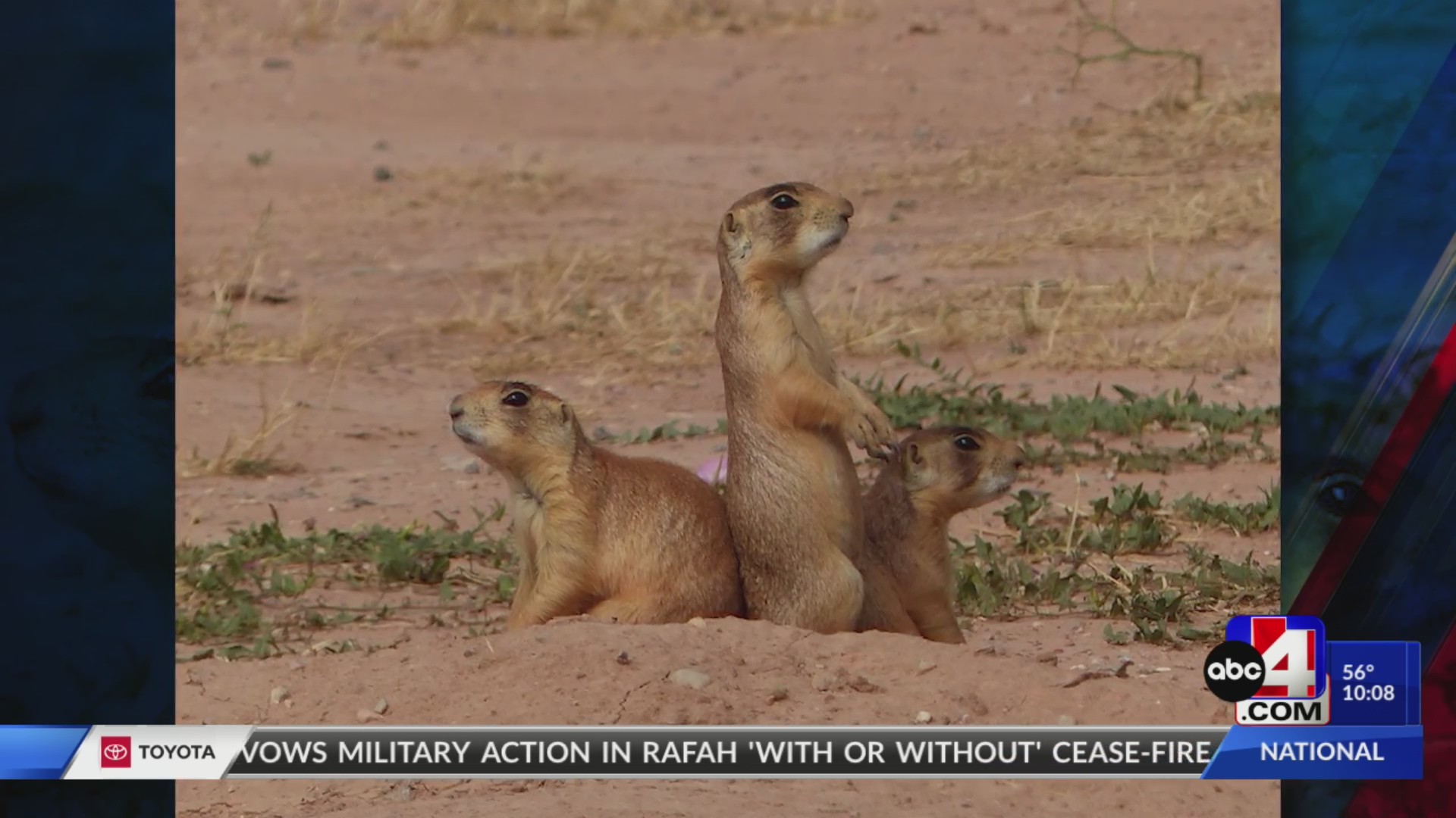 $5M going to protect Utah’s endangered species – ABC4 Utah