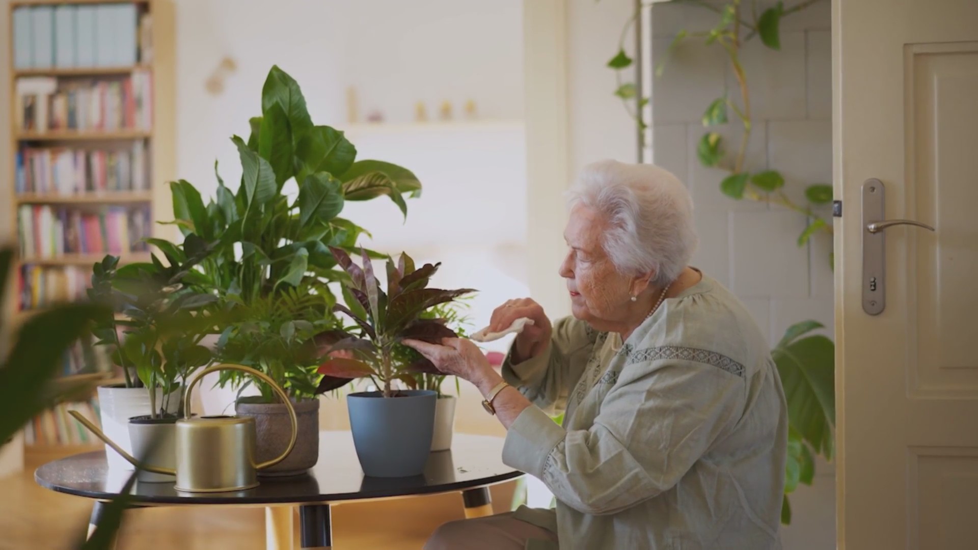 Wee Pediatrics’ Dr. Theresa Wee Promotes Health and Musical Debut – KHON2