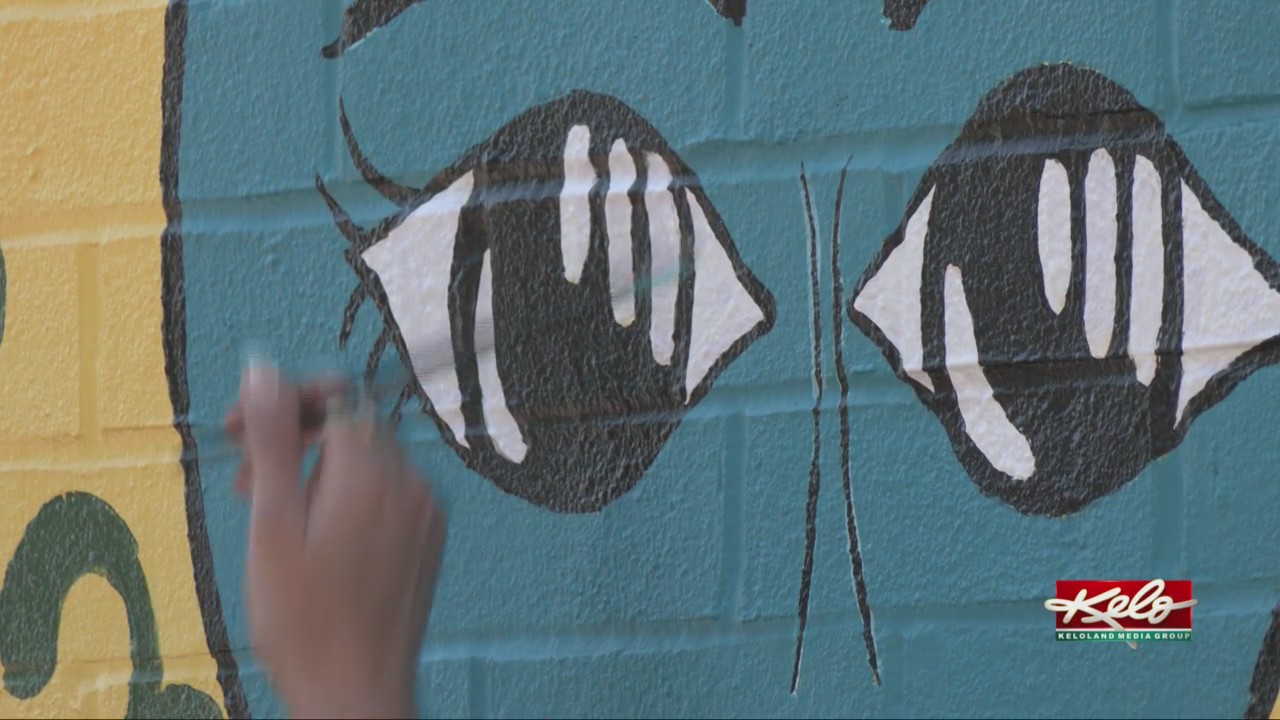 Young artist, who was in legal trouble, inspires ‘Art Walls’ – KELOLAND.com