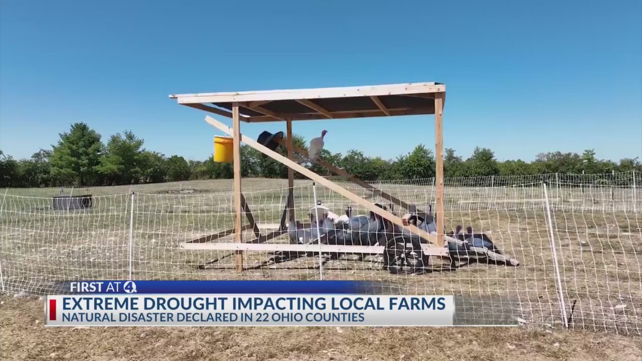 Drought labels these Ohio counties as natural disaster area – NBC4 WCMH-TV