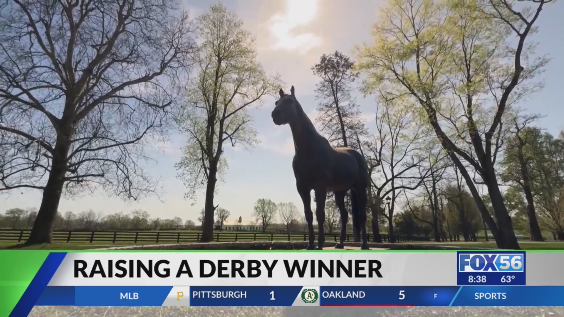 Kentucky Derby: Raising a derby winner – FOX 2