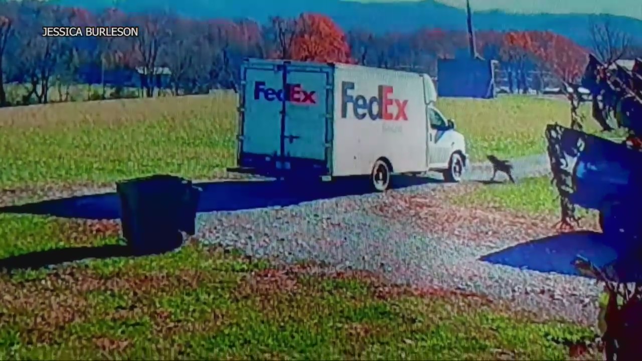 Family seeks answers after their dog is run over by FedEx driver – WRBL