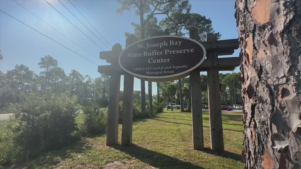 St. Joseph Bay Buffer Preserve turns 30, continues education and ...