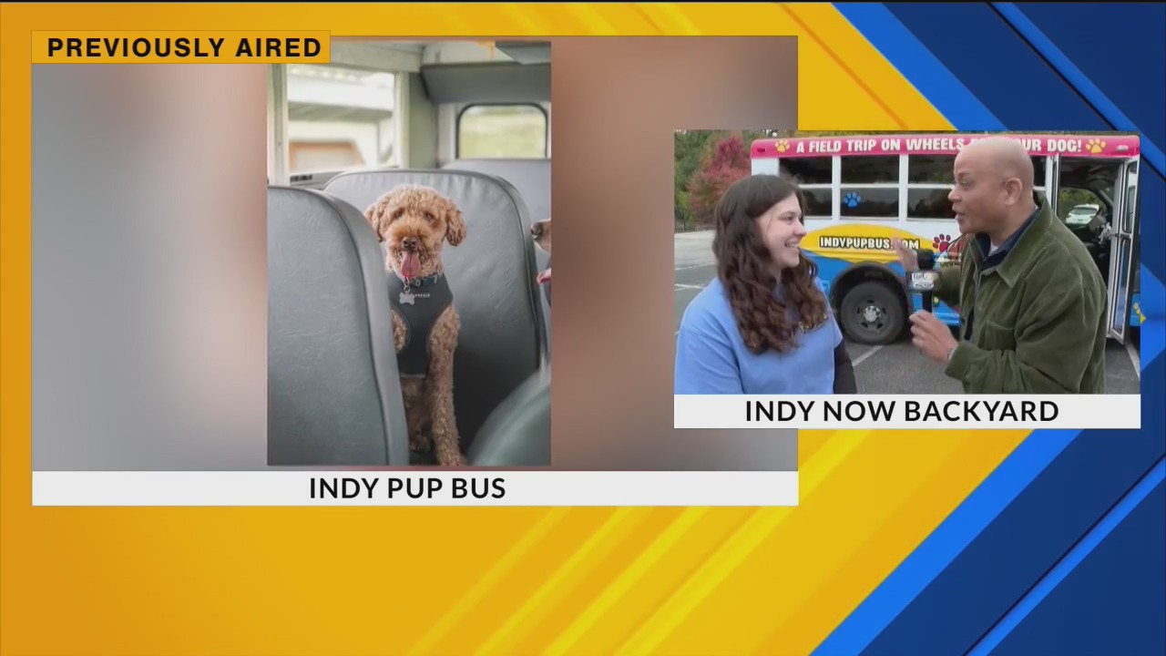 The Indy Pup Bus: Where Every Ride is a Treat! – 11/6/25 – Fox 59