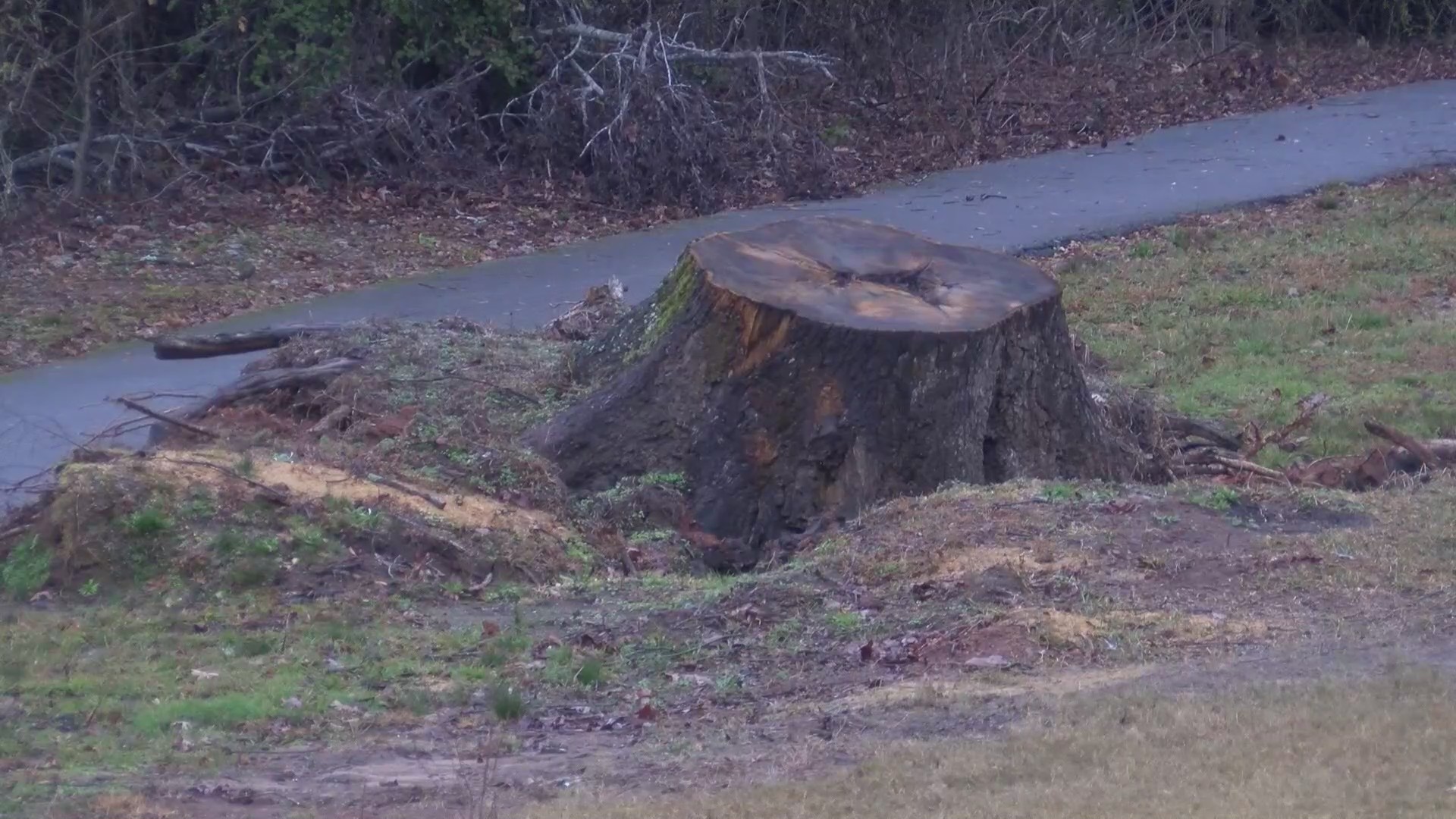 Tudor Branch neighbors vent frustrations to HOA about “missing street ...