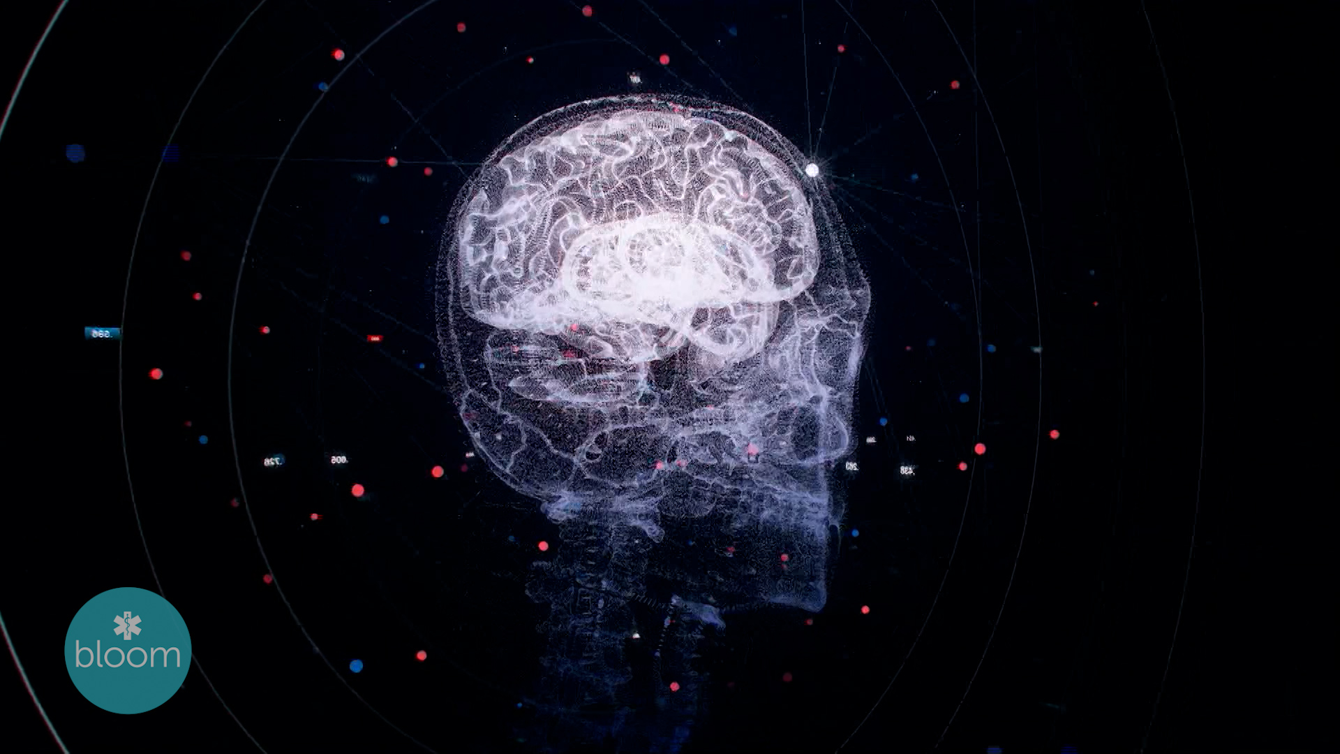 Reprogram Your Brain to Be Less Anxious | Bloom – WFLA
